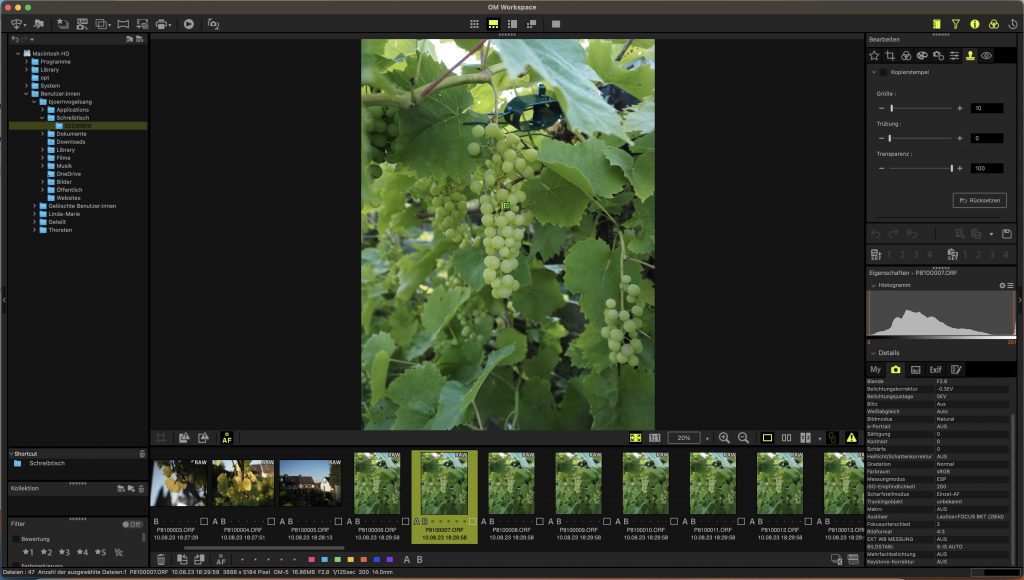 Focus Stacking mit OM-5 und OM Workspace - Homegrown Living